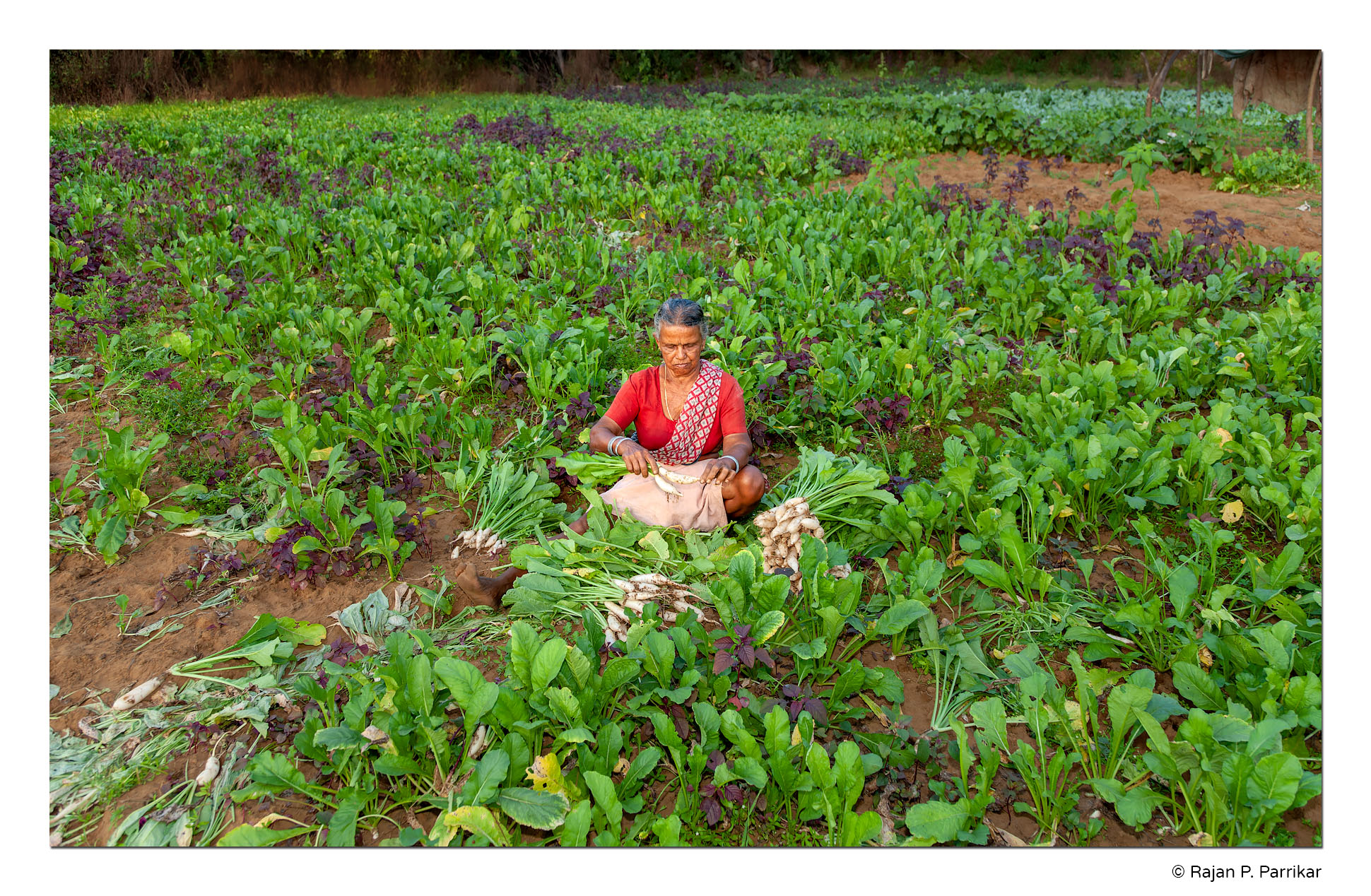 Taleigao-Nagale-Sitabai-Kankonkar-Goa